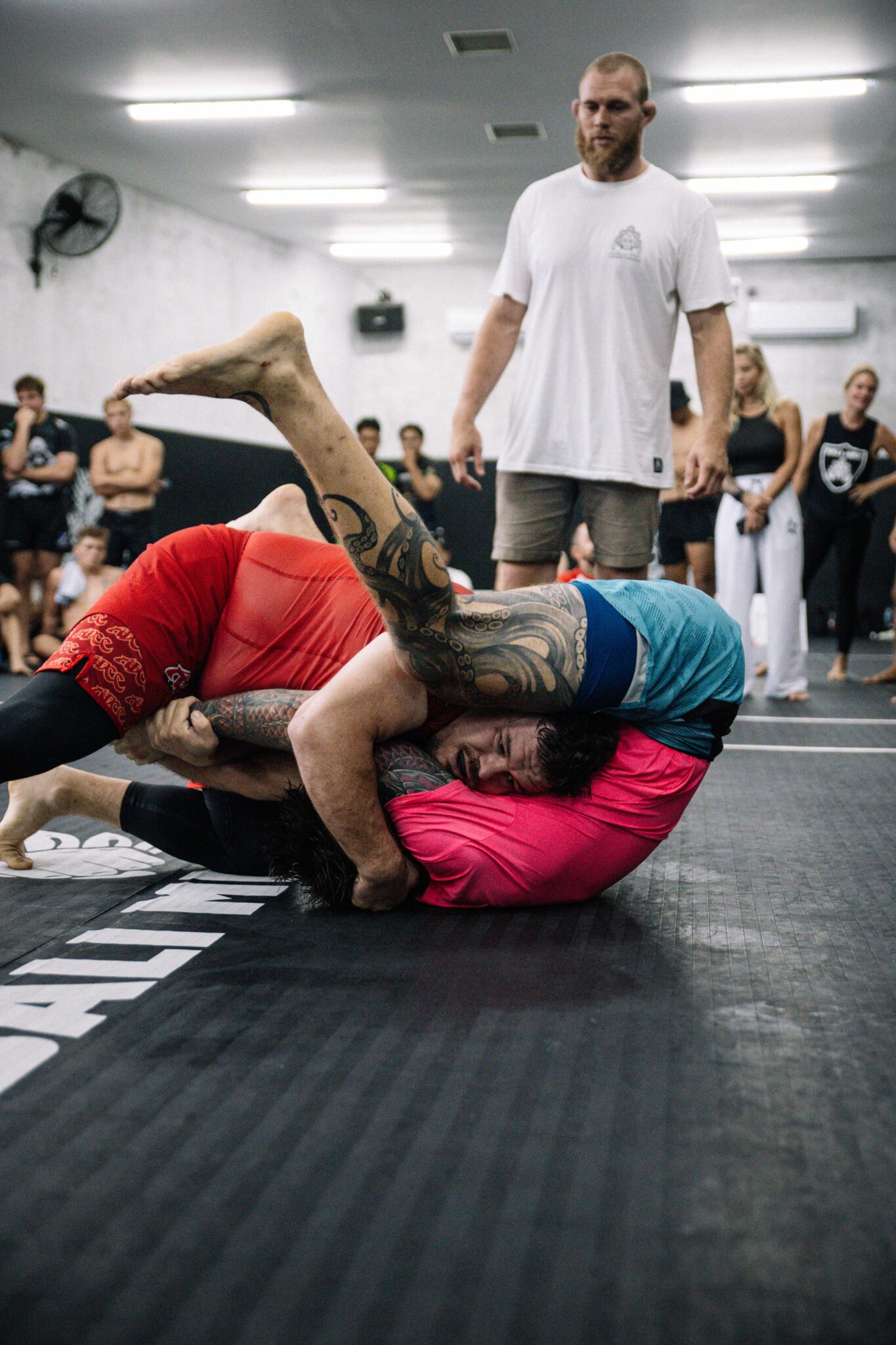 Memberships – BALI MMA
