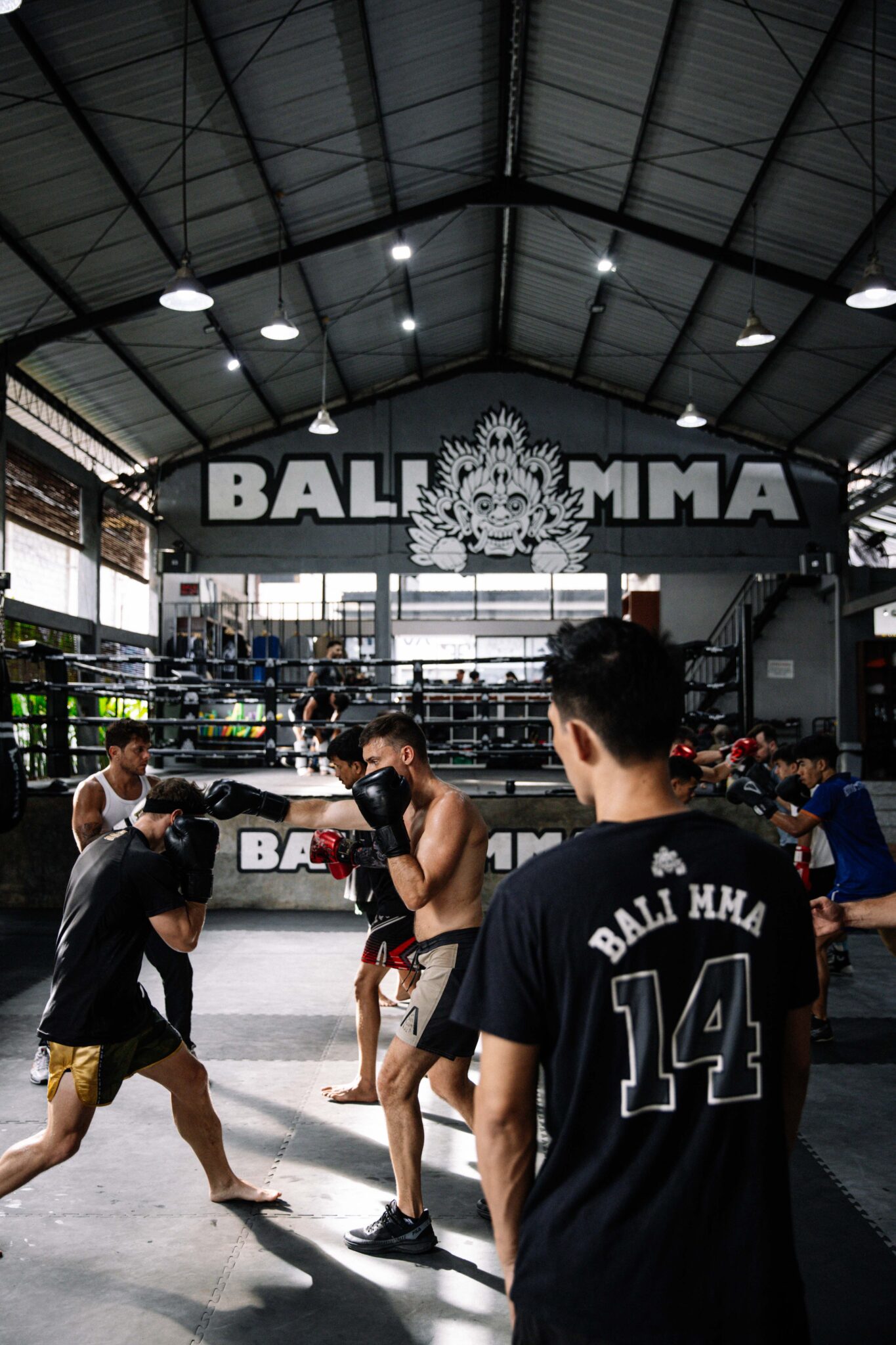 Memberships – BALI MMA